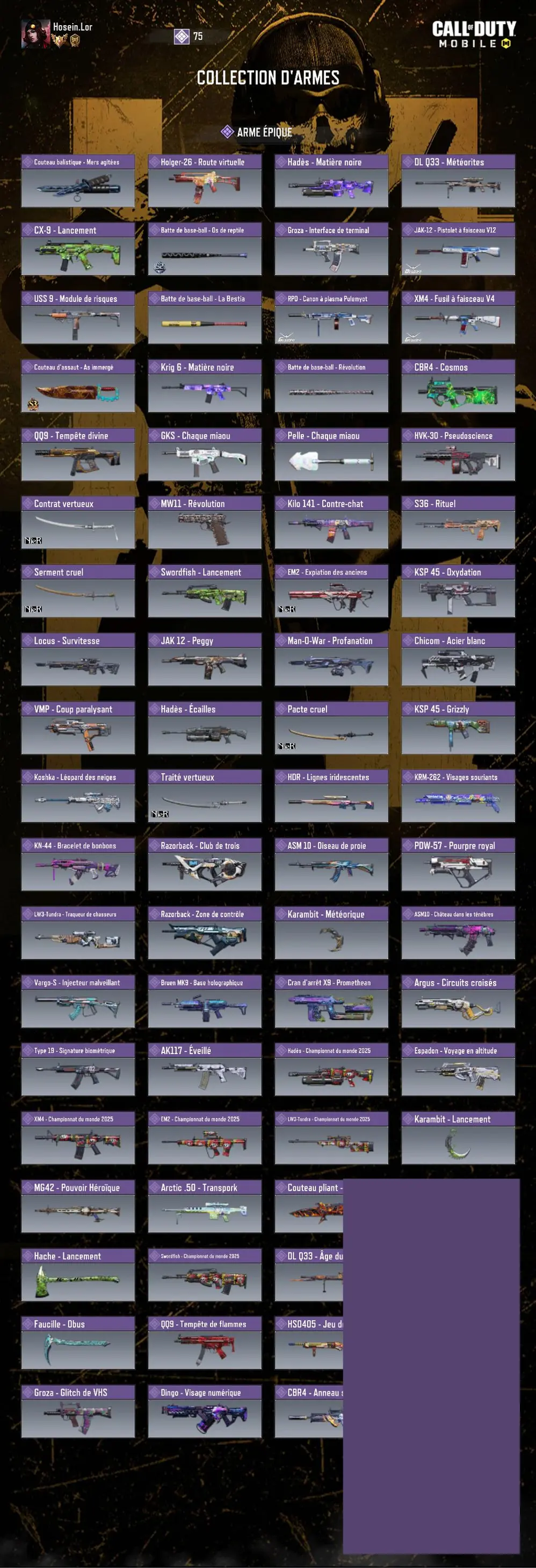 🟨Lv229 | Emotes:21 | Epic Gun:75 | Skin:45 | 4 Legend Gun, Call of Duty ...