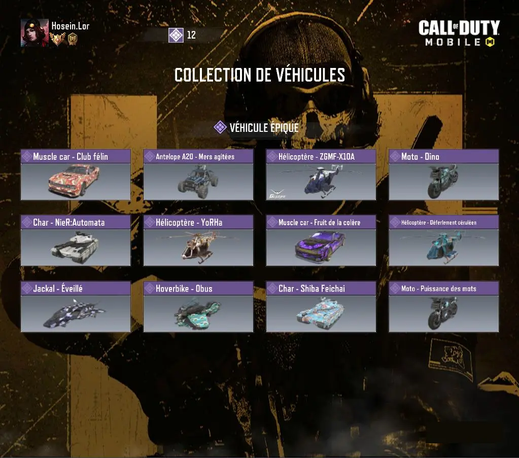 🟨Lv229 | Emotes:21 | Epic Gun:75 | Skin:45 | 4 Legend Gun, Call of Duty ...